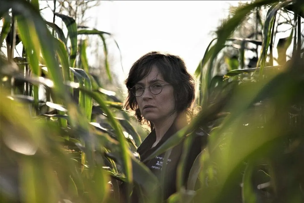 Highway 65. Cinéma - Antibes.maville.com