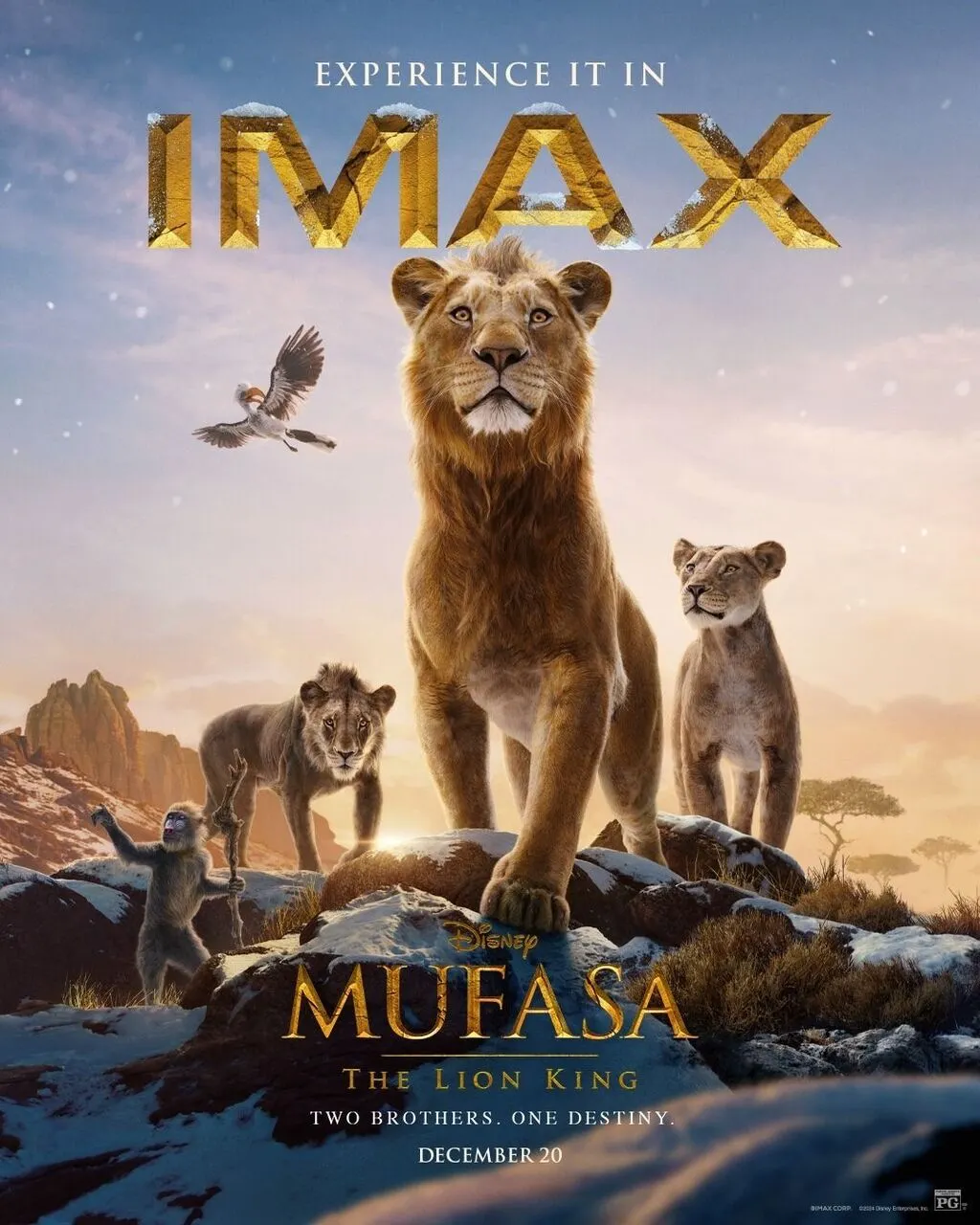 Mufasa : le roi lion. Cinéma - Rennes.maville.com