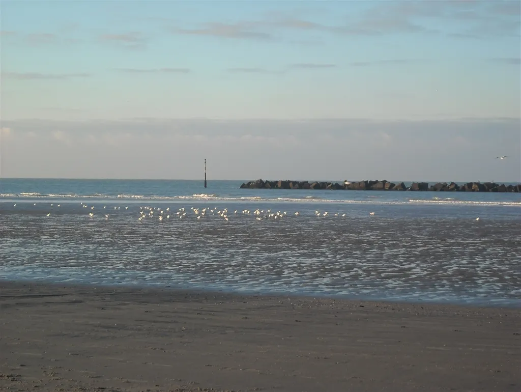 Vos plus belles photos de Dunkerque - Diaporama dunkerque - Dunkerque ...