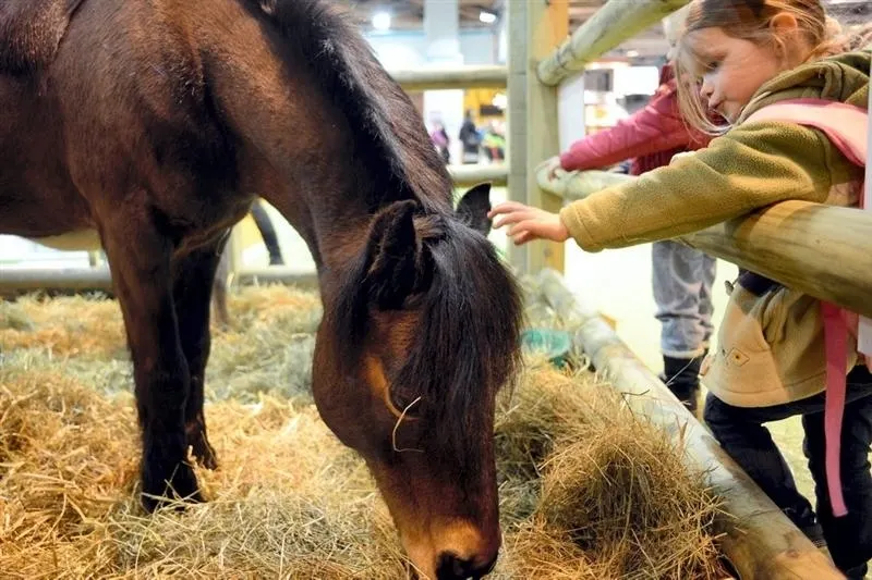 La plus grande ferme de France - Diaporama rennes - Rennes.maville.com