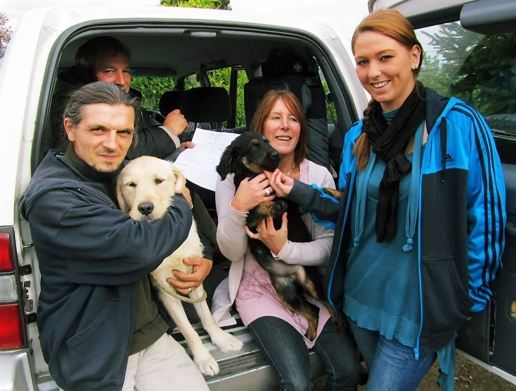 Chenil, refuge, fourrière ? Au Petit-Celland, 31 chiens en attente d ...
