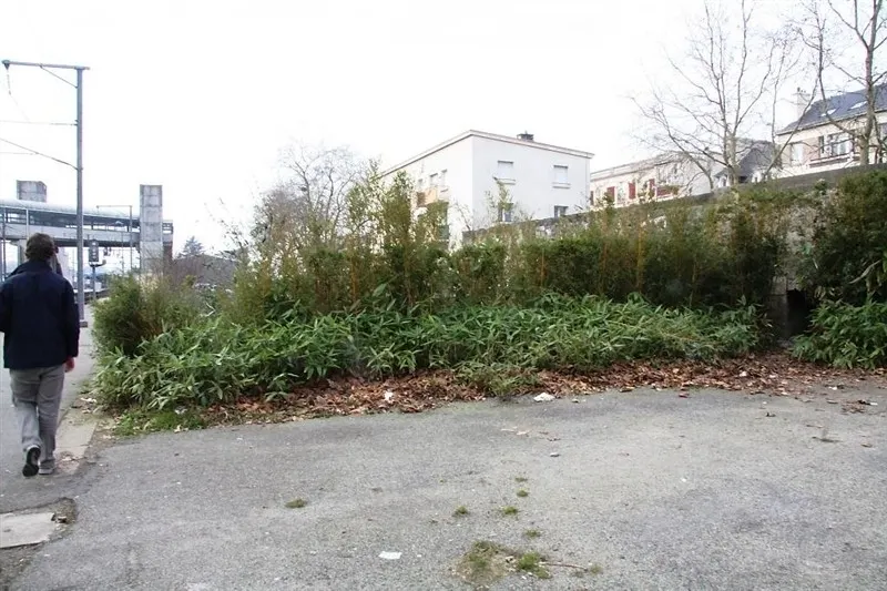 Mort d’un SDF à Lorient : alcool et froid vraisemblablement en cause ...