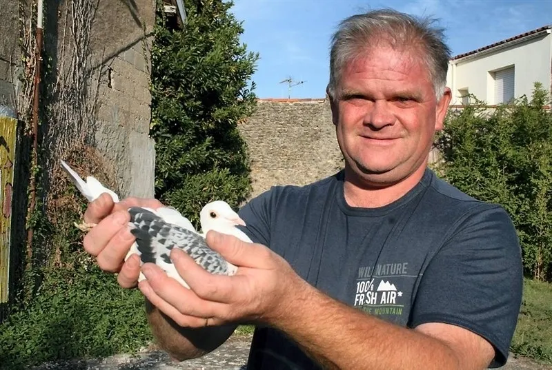Challans : Daniel Levêque et ses pigeons voyageurs - Les Sables d ...