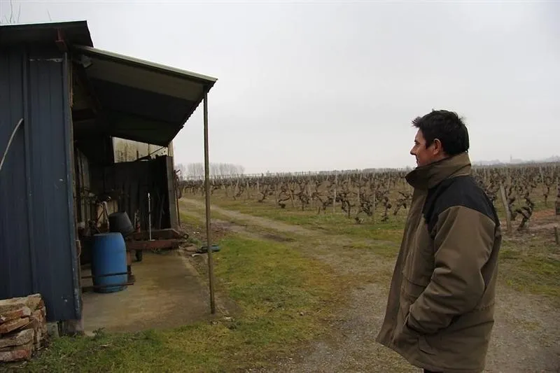 Vendangeur pendu. Rarissime, la cour va se transporter dans les vignes ...