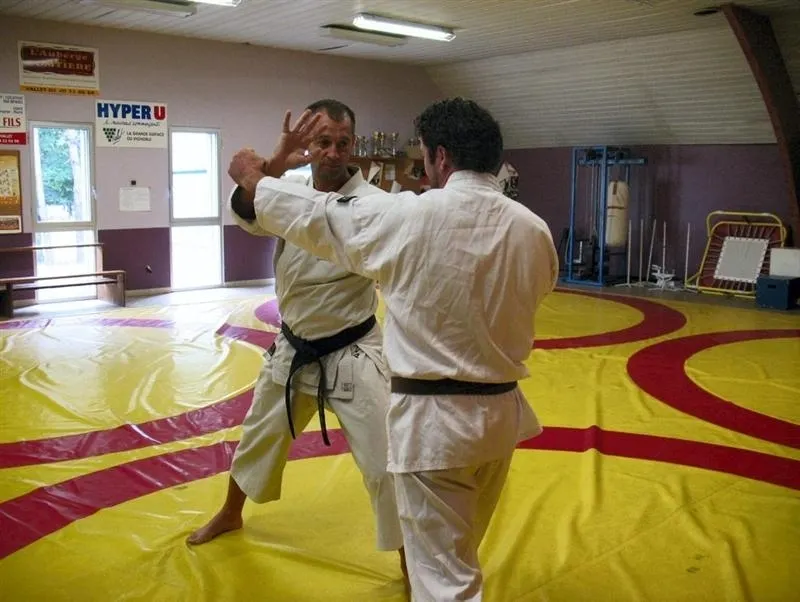 Didier Denmat, le champion de Vallet s’envole pour le Japon. Sport ...