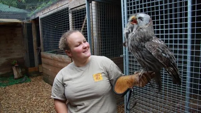Télé : « Une saison au zoo » redémarre ce soir sur France 4 - Le Mans ...