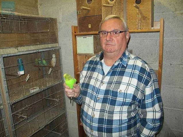 Allonnes. Ses perruches sont championnes - Le Mans.maville.com