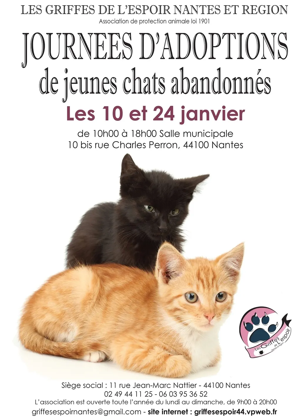 JOURNEE ADOPTIONS CHATS ET CHATONS internaute - Nantes.maville.com