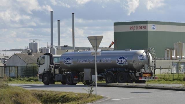 Agroalimentaire : Lactalis se fait souffler l'Egyptien Arab dairy ... Agroalimentaire : Lactalis se fait souffler l'Egyptien Arab dairy ...