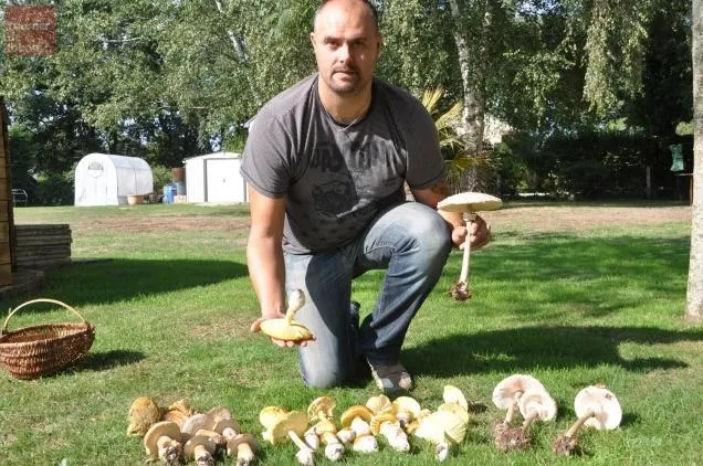 Echemiré. David Skach a la passion des champignons - Angers.maville.com