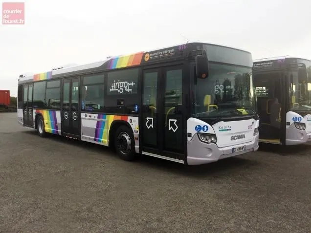 Angers. Dix nouveaux bus Scania livrés à Keolis à la rentrée - Angers ...
