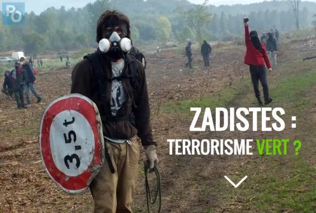 Loire-Atlantique. "Zadiste" est-il devenu un mot fourre-tout ? - Nantes ...