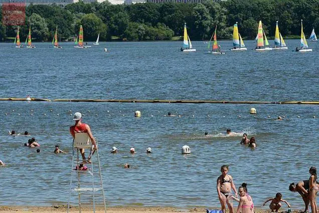 Angers. Baignade du Lac de Maine : l'ARS confirme la bonne qualité de l'eau - Angers.maville.com