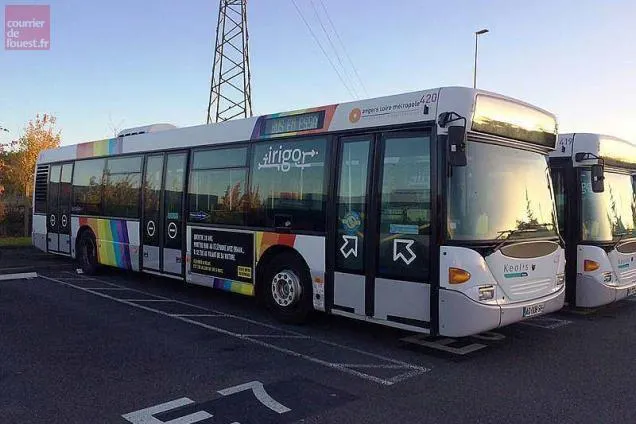 Angers. Neige et verglas : les lignes de bus ont repris leur ...