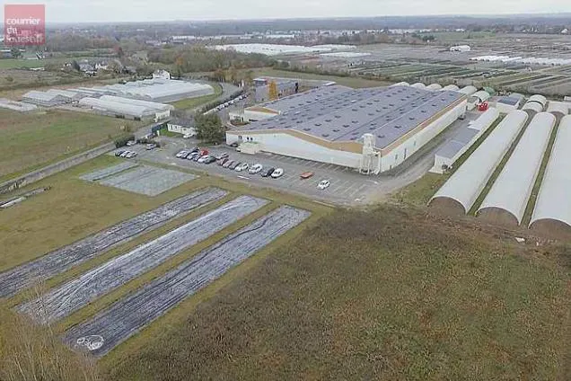 Les Ponts-de-Cé. Le semencier japonais Sakata ouvre un nouveau site ...