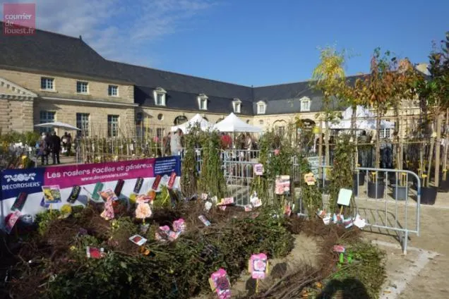 Doué-la-Fontaine. Les Pépifolies se tiennent samedi 24 et dimanche 25 novembre - Angers.maville.com