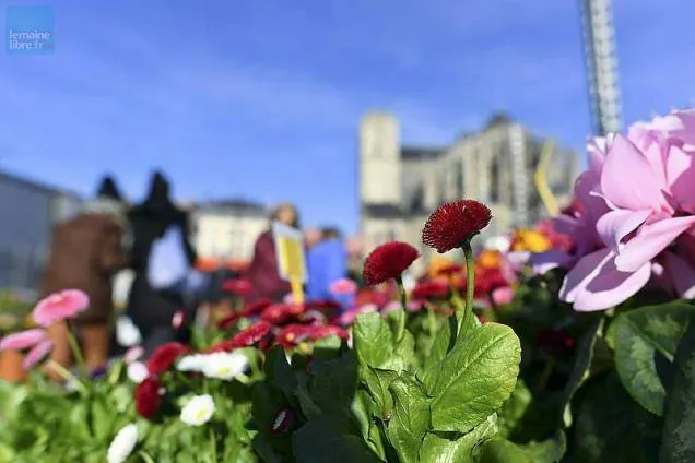 Le Mans. Ils veulent mettre de la couleur dans leur jardin - Le Mans ...