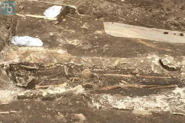 Insolite. Découverte de sarcophages du Moyen-Âge à Rezé - Nantes ...