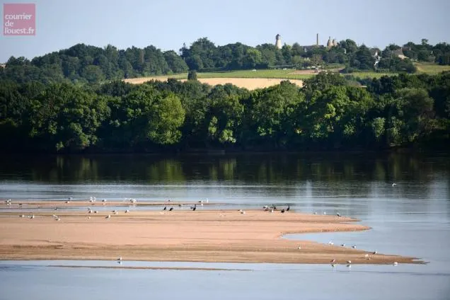 Maine-et-Loire. Les culs de grève, un danger mortel pour les baigneurs ...
