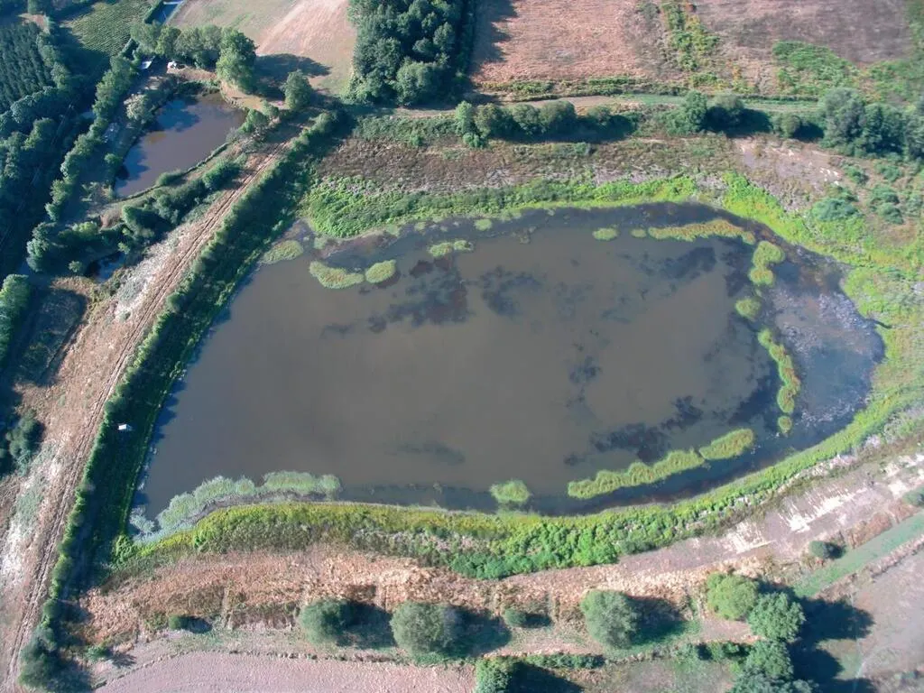 Pays de la Loire - Vendée. À Rives-de-l’Yon, un spot de pêche unique - Le Mans.maville.com