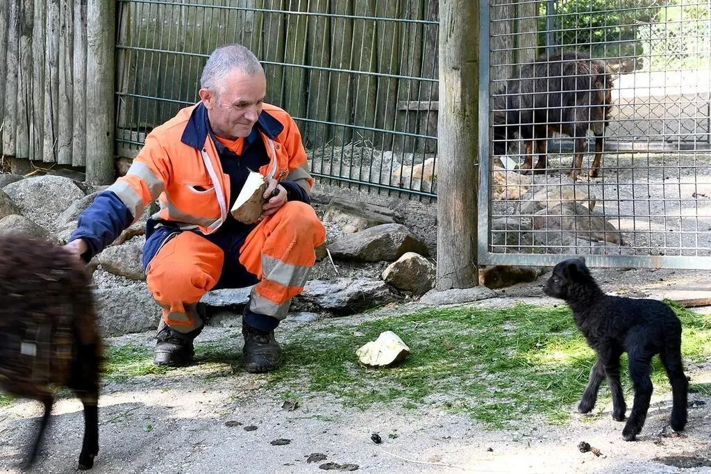 EN IMAGES. Au jardin de la Perrine à Laval, la nature en pleine ...