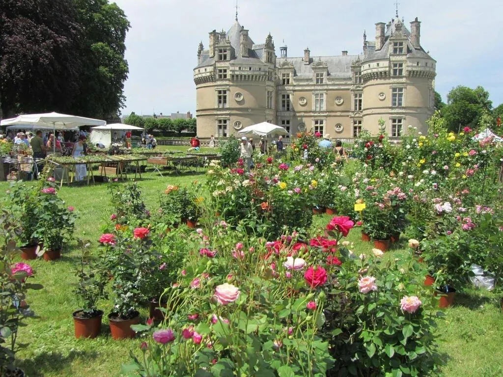 Le Lude. Le château rouvre ses portes ce jeudi 21 mai - Le Mans.maville.com