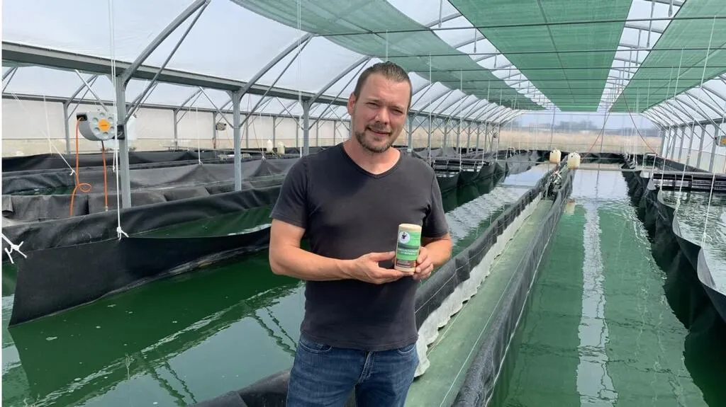 Longues-sur-Mer. La spiruline, une source ancestrale de vitalité - Caen ...