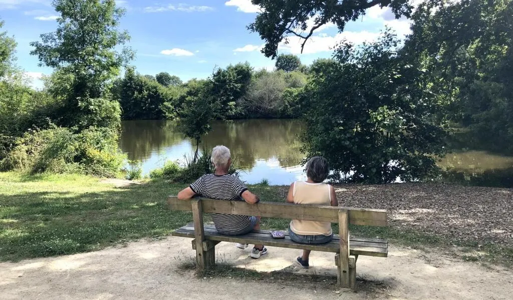 La Roche-sur-Yon. Une ville enveloppée par la campagne - La Roche sur ...
