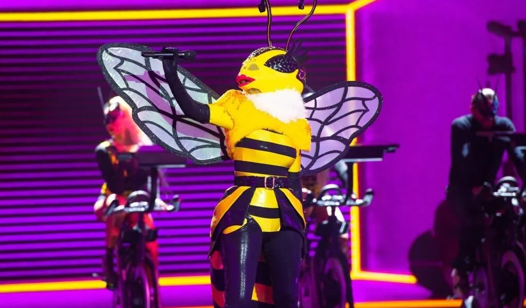 « Mask Singer ». L’émission de TF1 de retour le 17 octobre avec ...