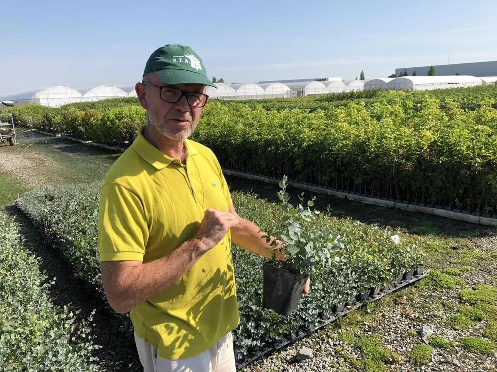 REPORTAGE. Histoire de la renaissance des pépinières André Briant ...