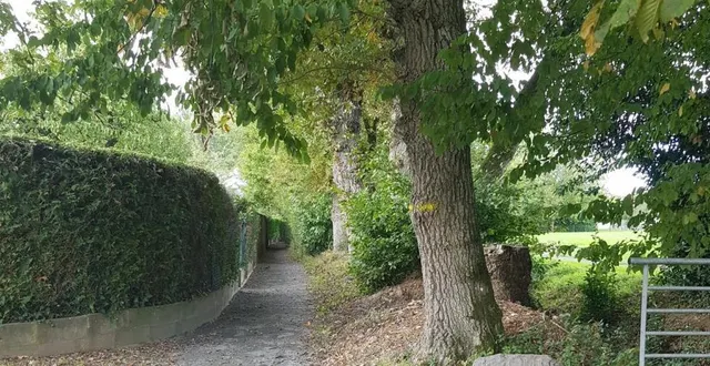 Saint-Gilles. Les chemins vers l’étang du Gui-Chalet ont été améliorés ...