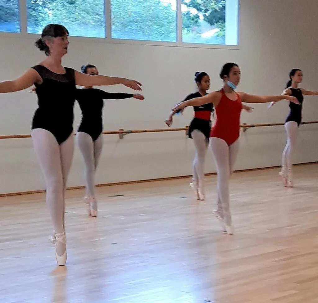 Oudon. Les adeptes de danse classique découvrent les pointes - Nantes ...