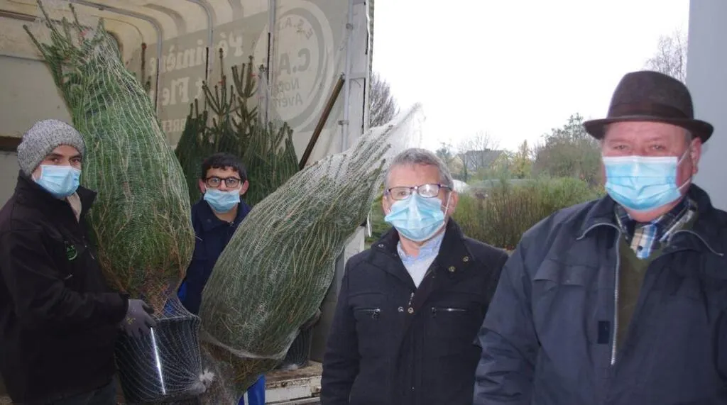 Bain-de-Bretagne. L’Esat a remis des sapins à l’association PaniSol ...