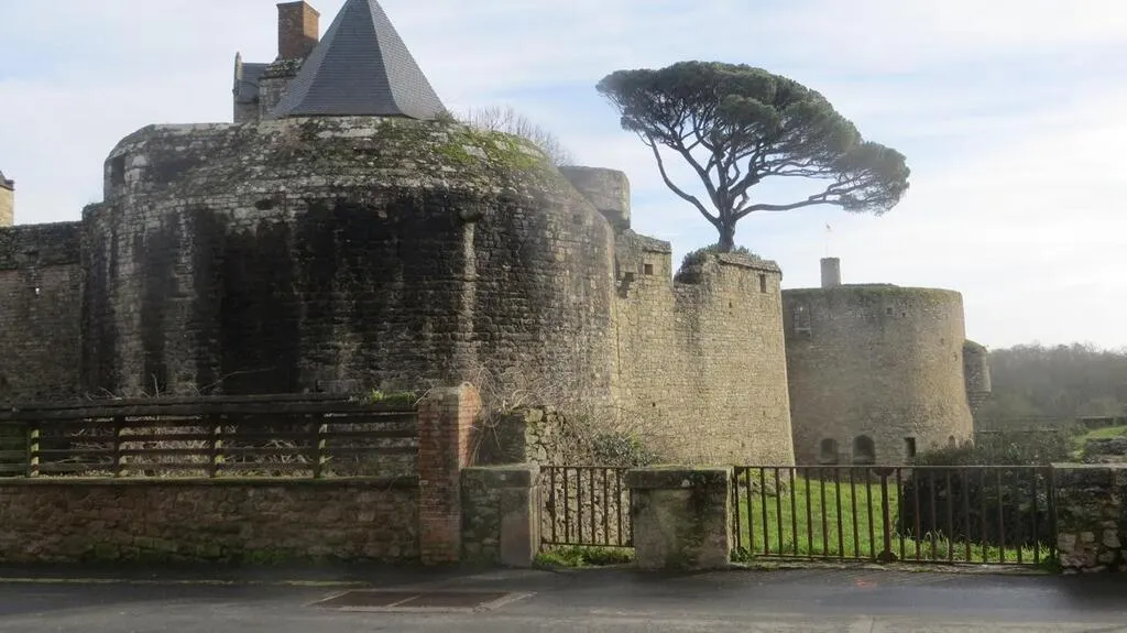 Clisson. Des arbres conditionnent la conduite des travaux - Nantes ...