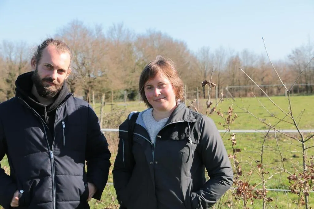 La Chapelle-sur-Erdre. Des poules pondeuses et des légumes bio - Nantes ...