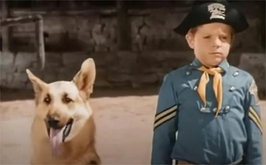 L’acteur Lee Aaker, qui incarnait le jeune Rusty dans « Rintintin ...