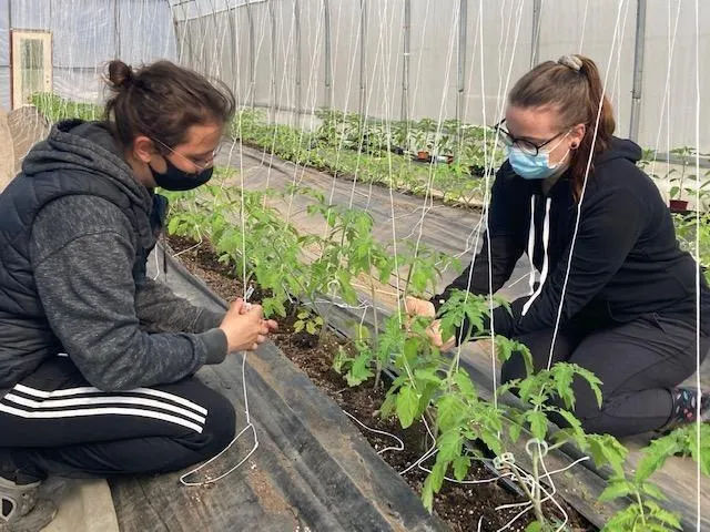 REPORTAGE. L’engouement pour l’agriculture locale gagne le Québec ...