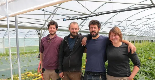En Pays de la Loire, de nouveaux agriculteurs peinent à trouver des ...