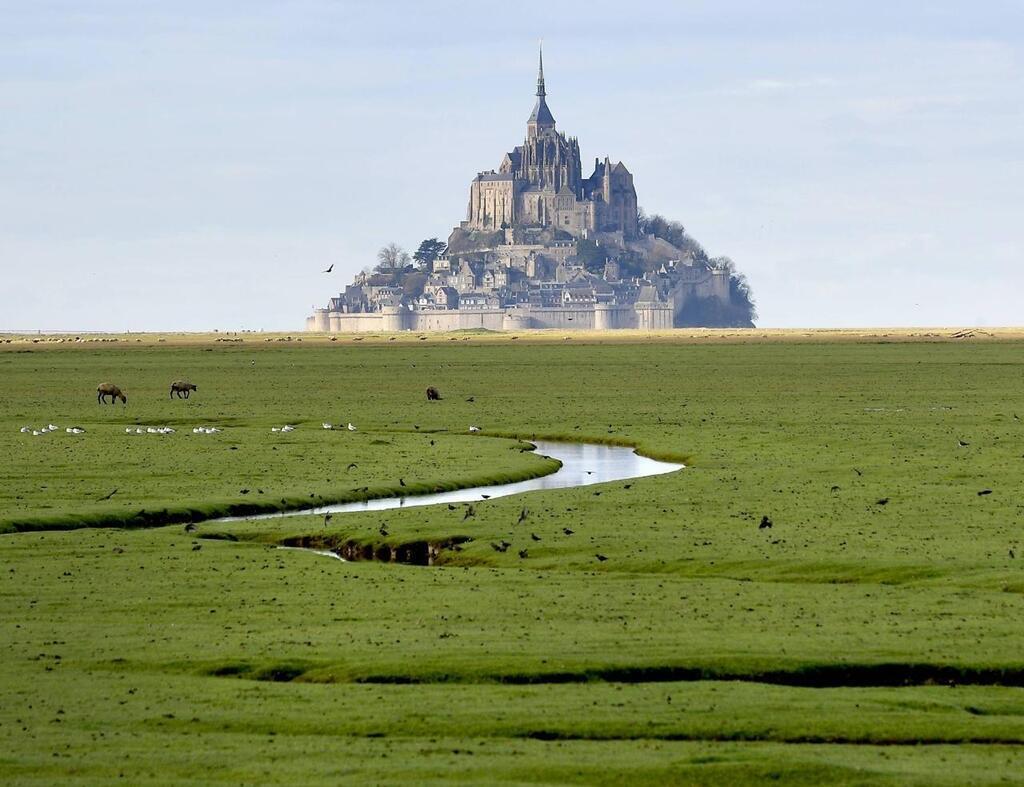 Sud-Manche. Pour lutter contre le changement climatique, l’agglo Mont ... Sud-Manche. Pour lutter contre le changement climatique, l’agglo Mont ...