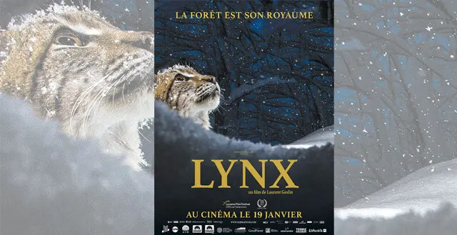 Lynx - Le Mans.maville.com