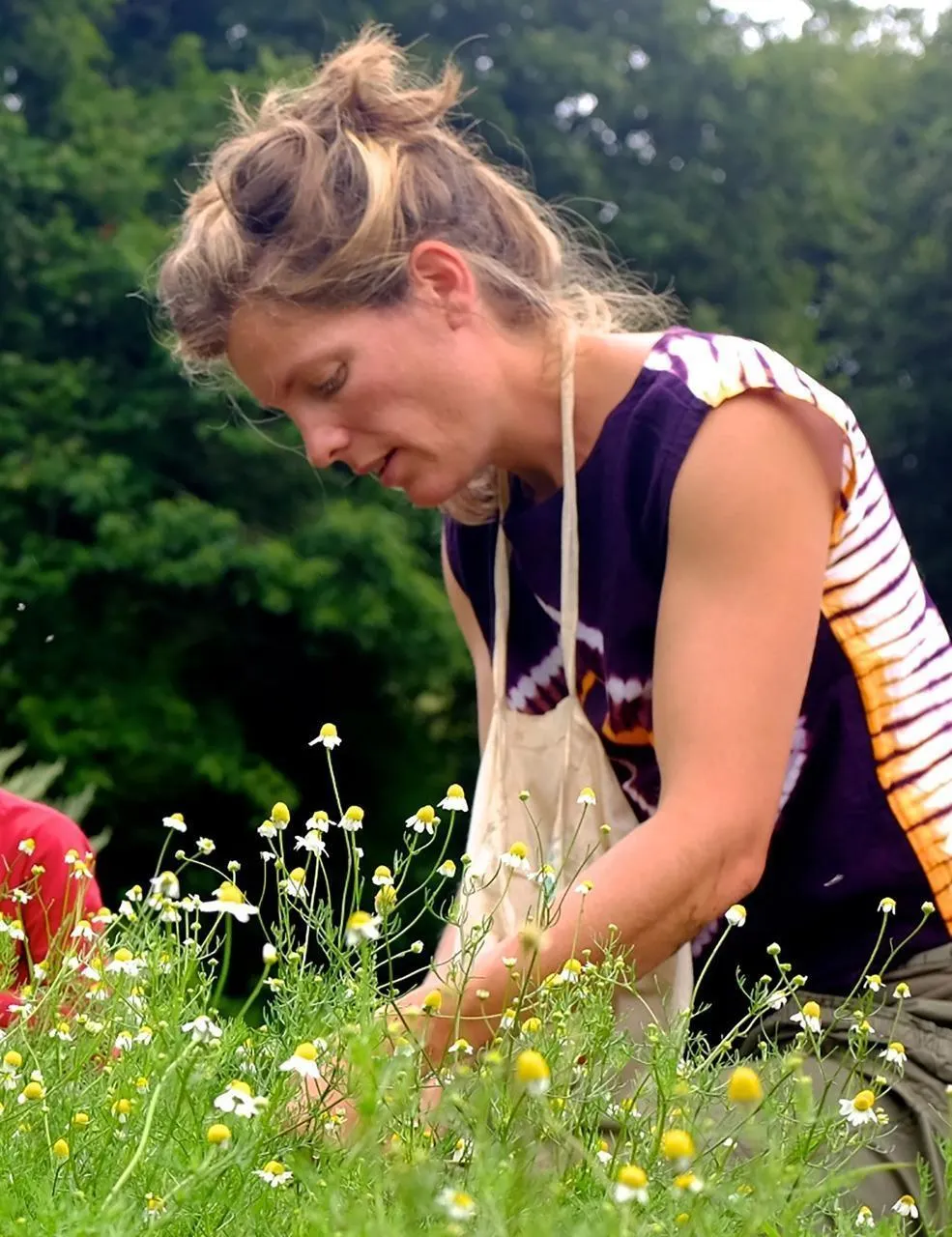 Fouesnant. Claire Galéron, spécialiste des plantes aromatiques, à l ...