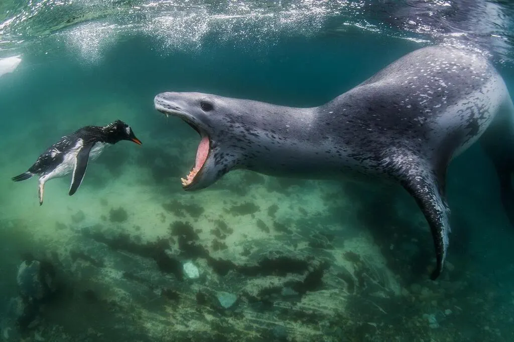 Voici les plus belles photos consacrées à la nature - Tours.maville.com
