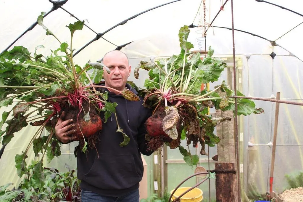 Montrévert. Des légumes hors norme poussent dans son jardin - La Roche ...