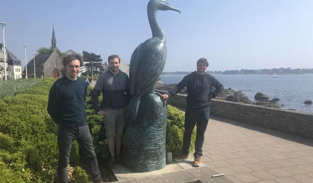 Concarneau. L’oiseau marin fait son nid à la Station marine - Saint ...