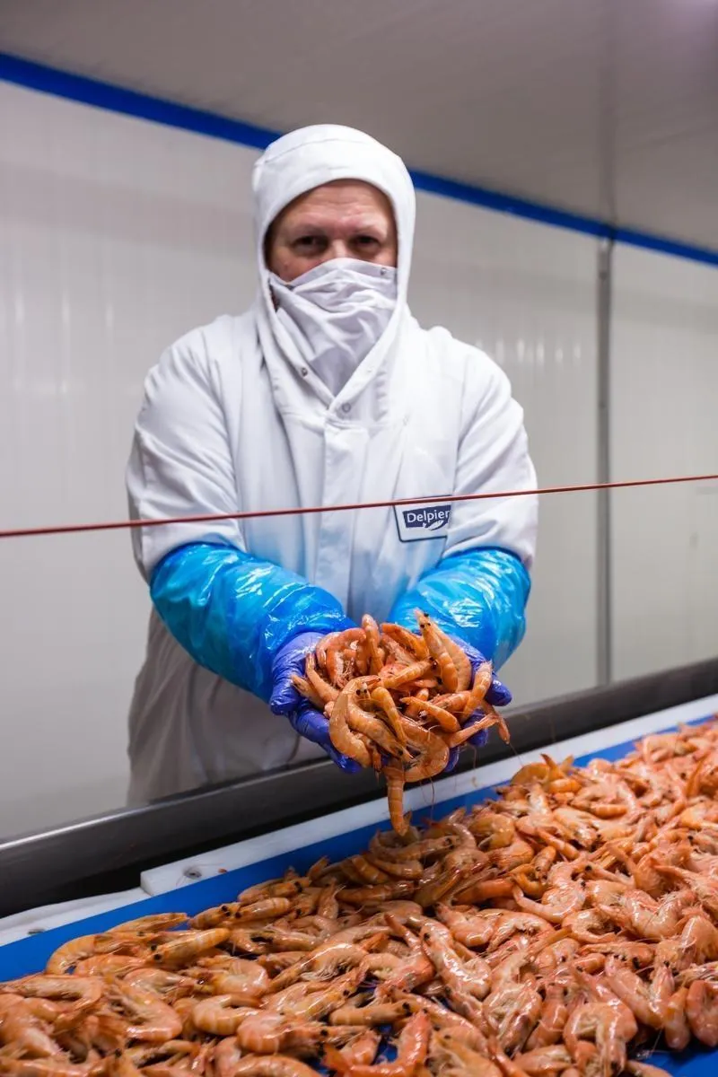 Les Français en pincent pour les crevettes, Labeyrie modernise son ...