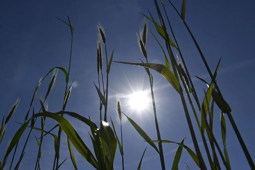 Sécheresse. Un niveau d’alerte très rare à cette époque de l’année en ...