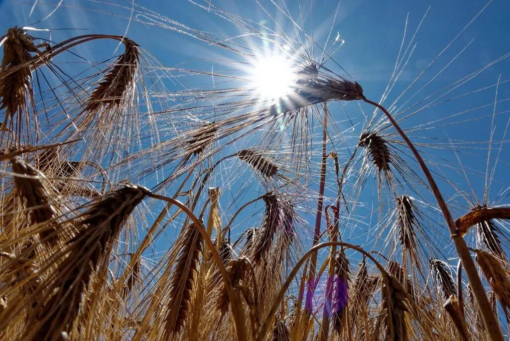 INFOGRAPHIE. Canicule : jusqu’où est montée la température ces ...