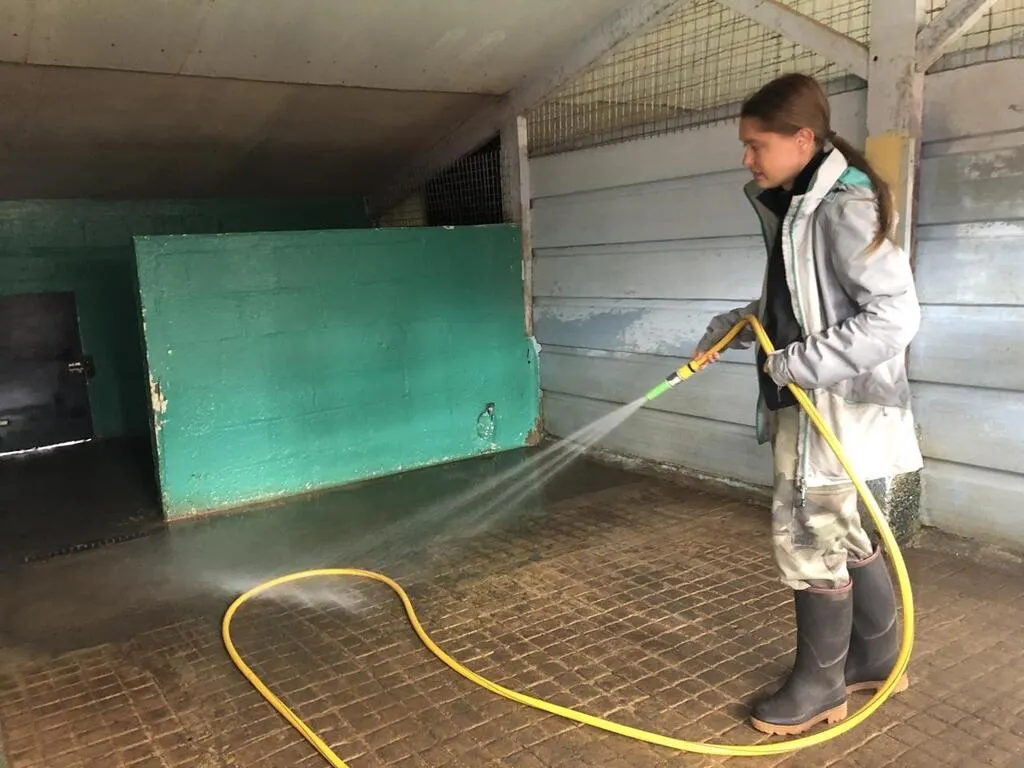 Bréhand. Le refuge du Penthièvre et du Mené, une nouvelle chance pour ...