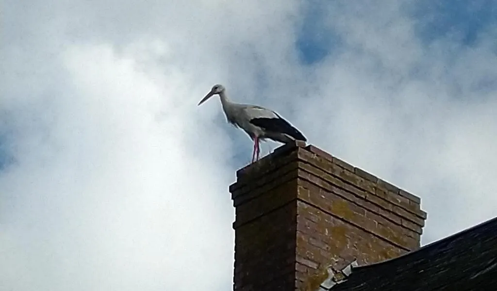 Un jeu de piste pour découvrir l’histoire de Trévières - Caen.maville.com
