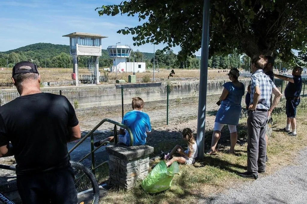 REPORTAGE. Béluga dans la Seine : pourquoi il sera transporté jusqu’à ...